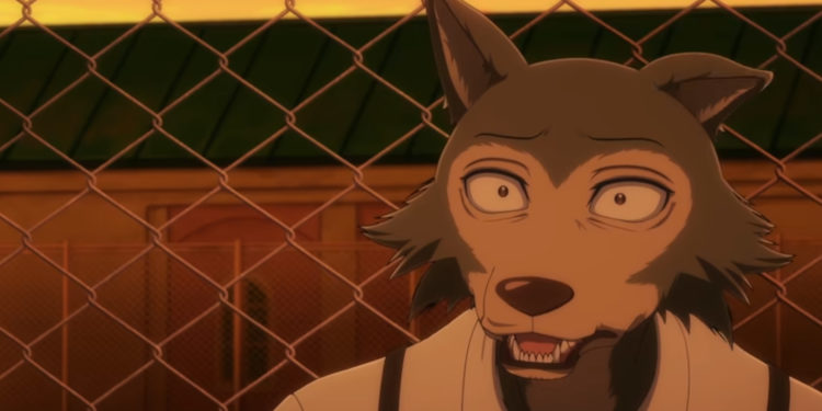 Entérate de cuando se estrenará la segunda temporada de Beastars