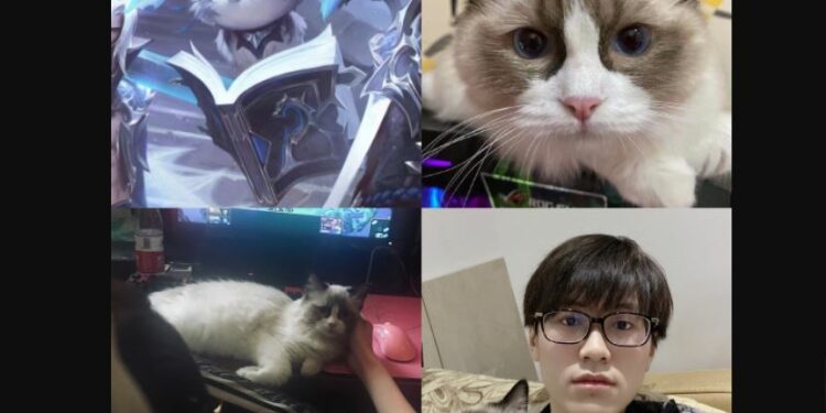 Meiko escogió a Yuumi para su skin de Worlds 2021 como una dedicatoria ...