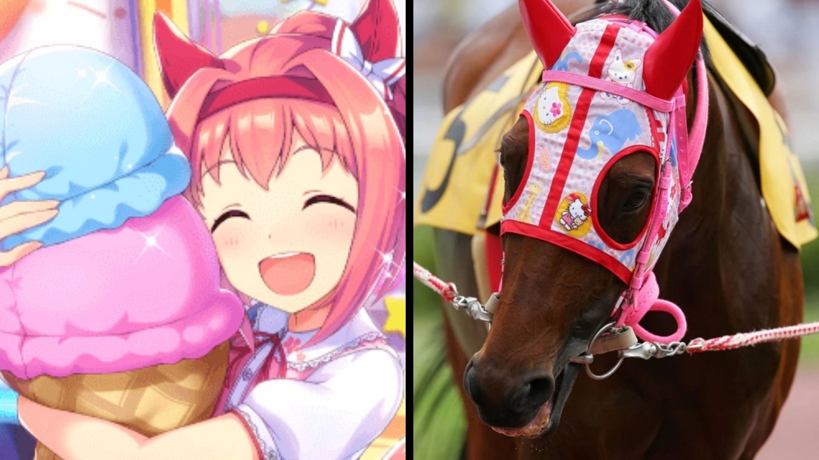 Fallece Haru Urara, el legendario caballo de carreras japonés, a los 29 años » Hero Network